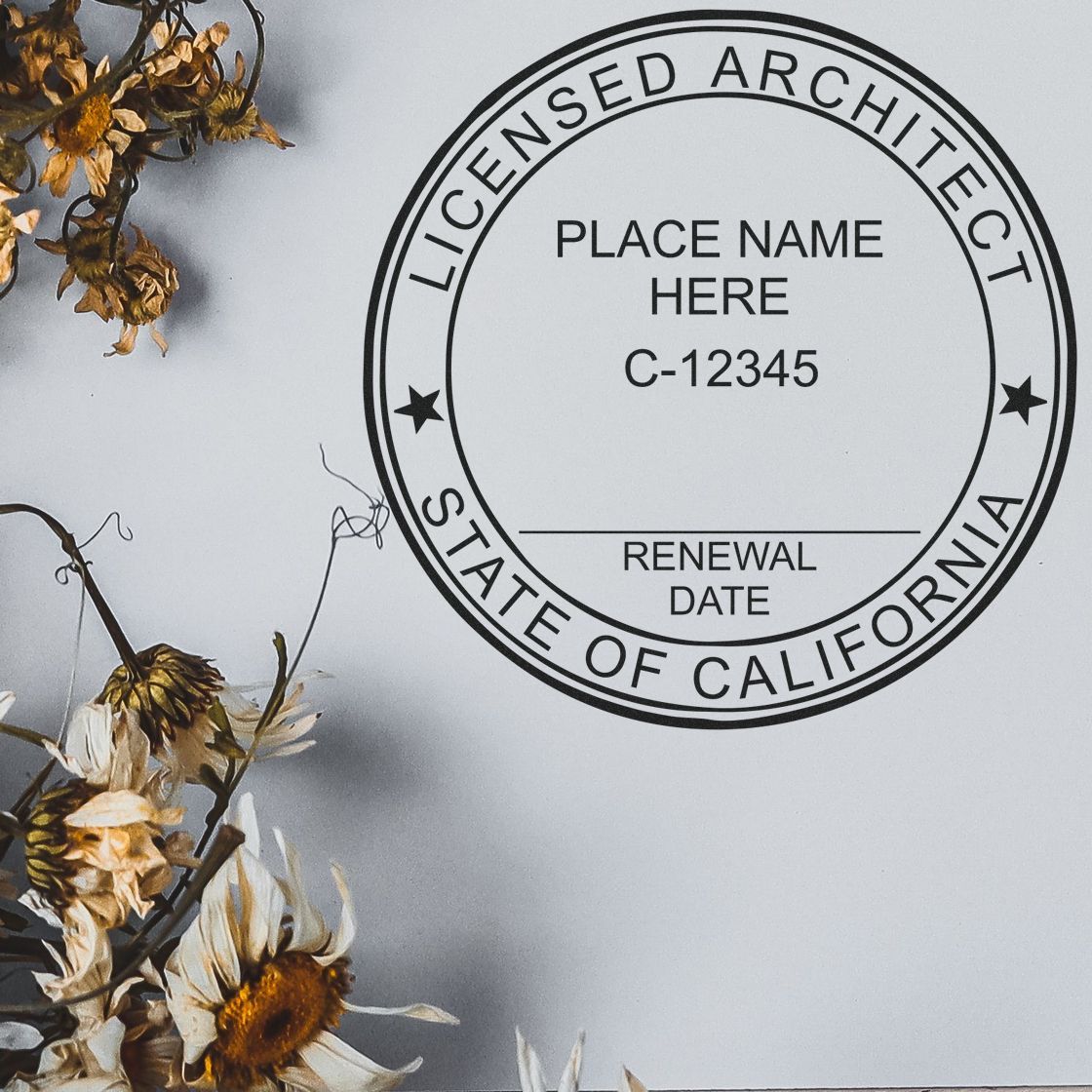 Amplify Your Authority: Adhering to California Architect Stamp Laws | ESS
