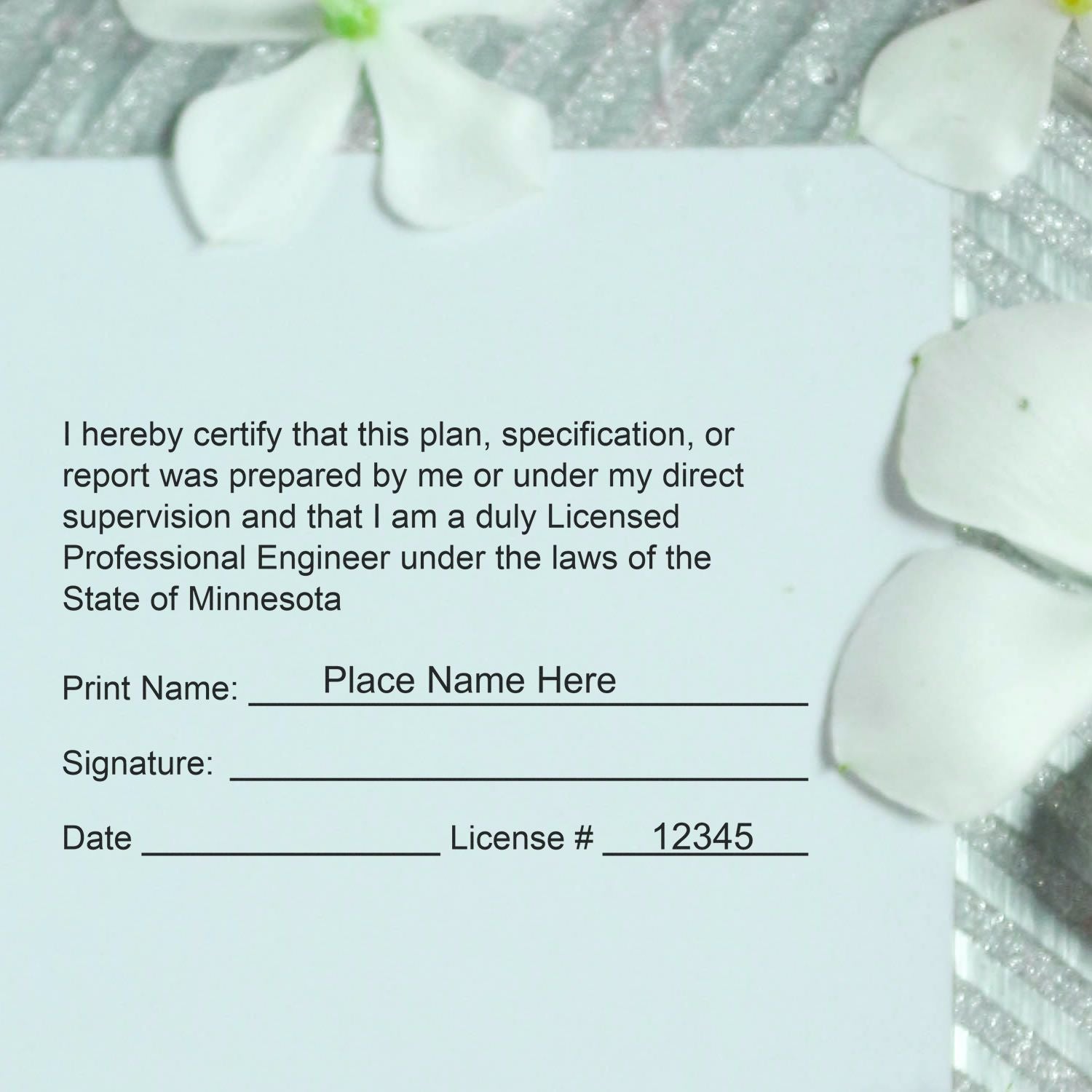 Unlocking Professional Recognition: Get Your Minnesota Professional ...